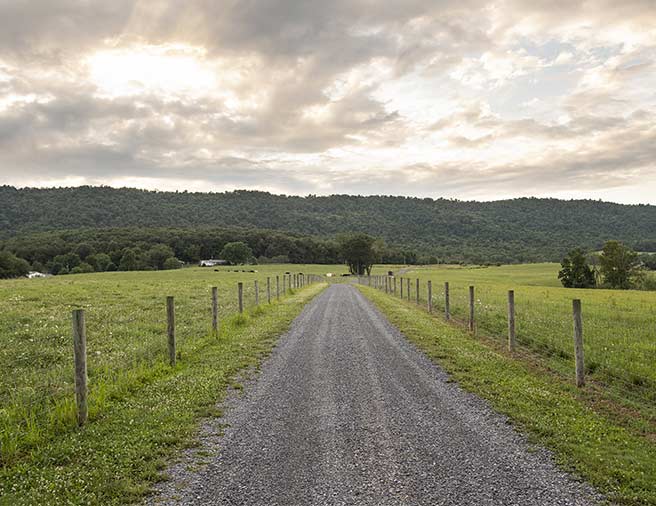 Storytelling through content - The Food Group